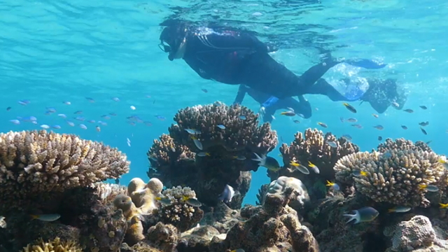 Classroom on the reef