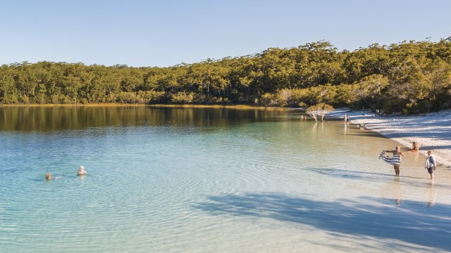 K'gari (formerly Fraser Island) safari